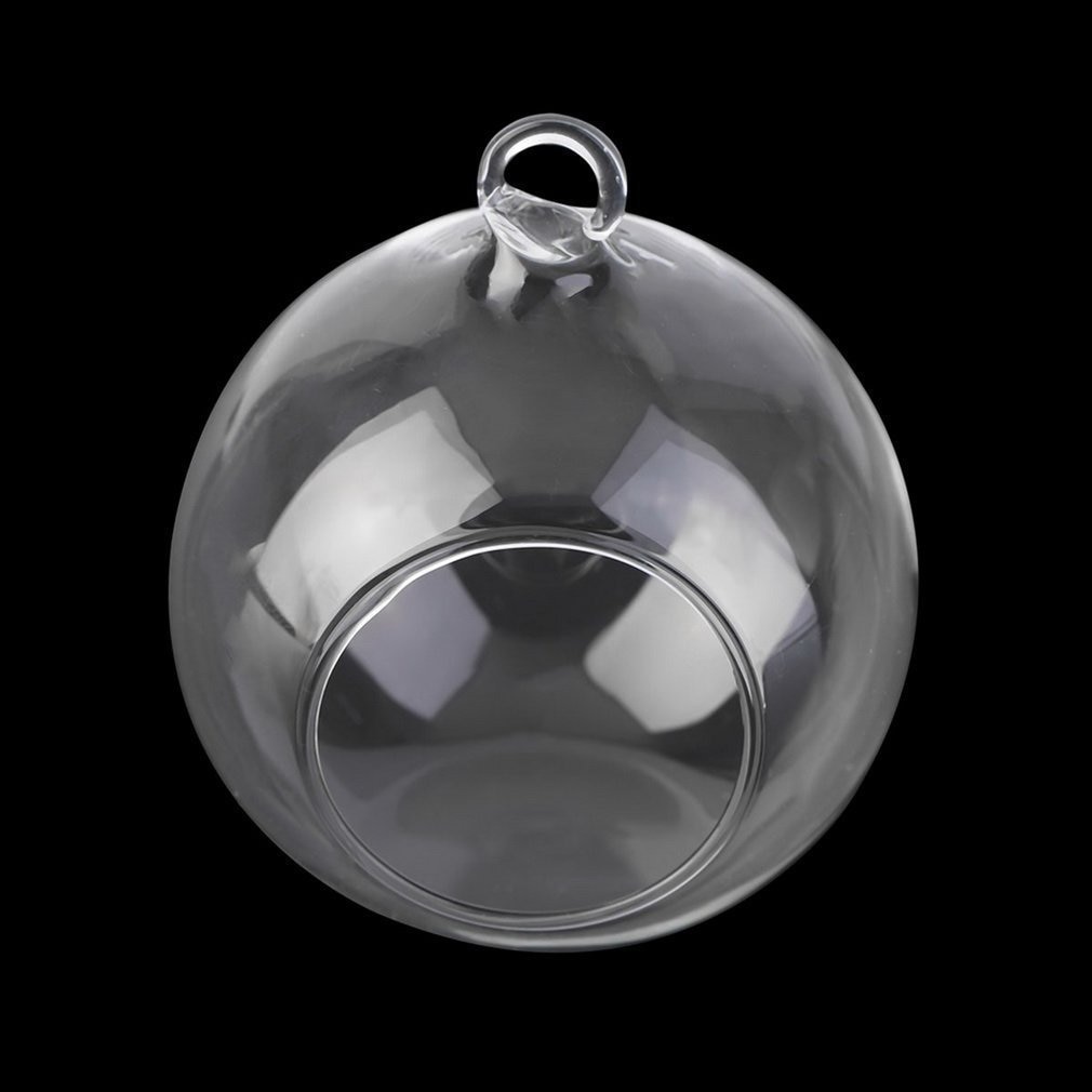 Terrarium Ball Globe Shape Clear Hanging Glass Vas... – Grandado