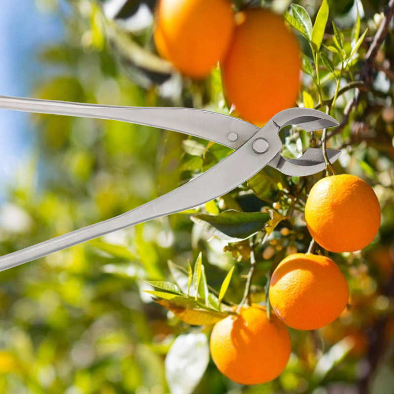 280mm Zweig Cutter Diagonale Ergonomische Griff Ed... – Grandado
