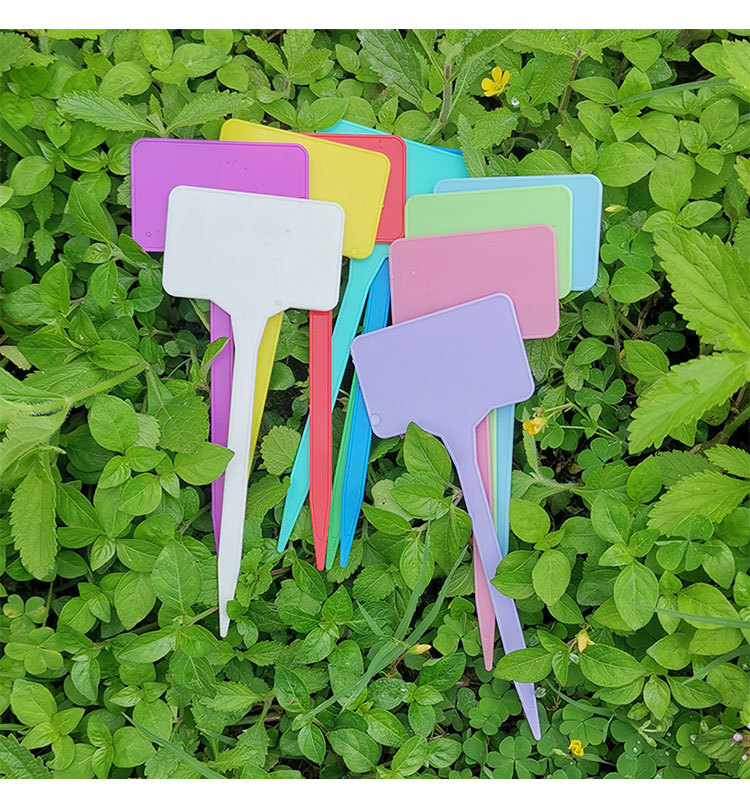 Plant Marks Large Horticultural Label Flower Plant... – Grandado