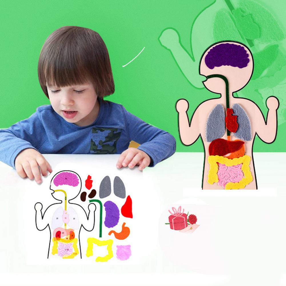 1 Set Interactive Premium Texture Vivid Preschool ... – Vicedeal