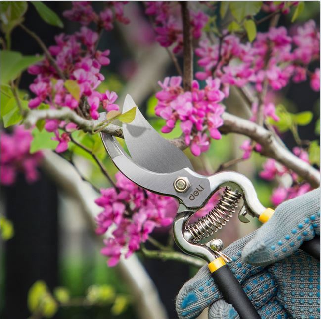 Deli Tools Garden Tree Branch Shears Secateur Prun... – Grandado