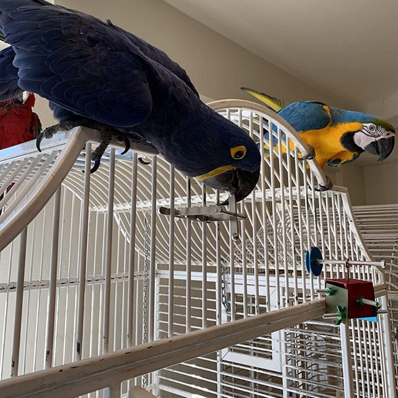 Bird Parrot Stand Toy Traveling Spinner Stainless ... – Grandado