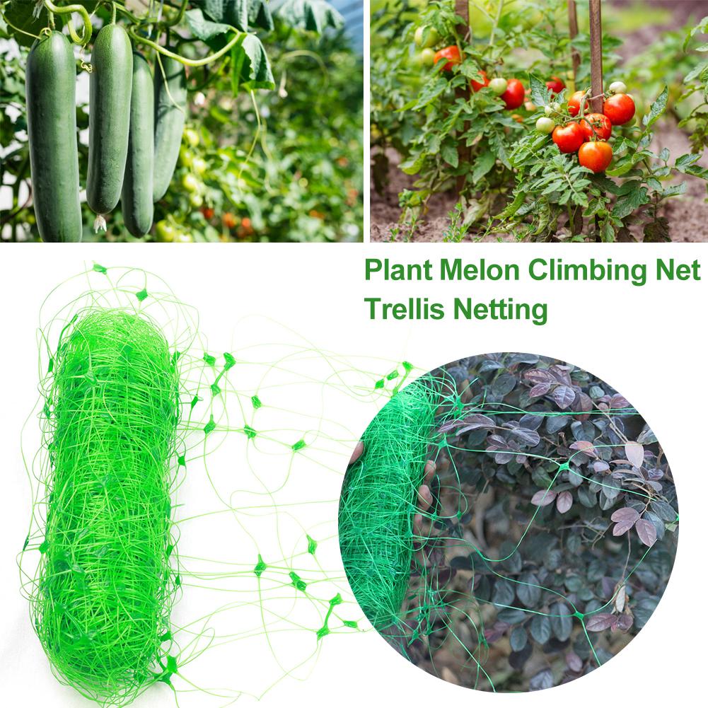 2x6M Plant Melon Climbing Net PP Trellis Netting F... – Grandado