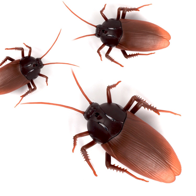 Remote Control Cockroach Toy Infrared Electric Sim... – Grandado