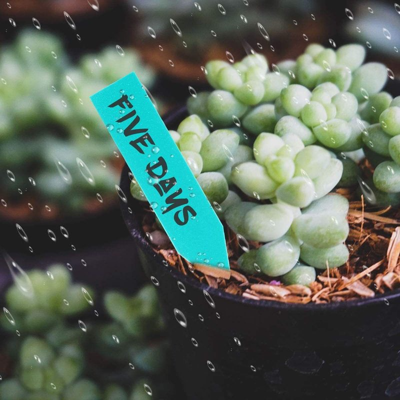 100 stk hage vanntette plante plast etiketter barn... – Grandado