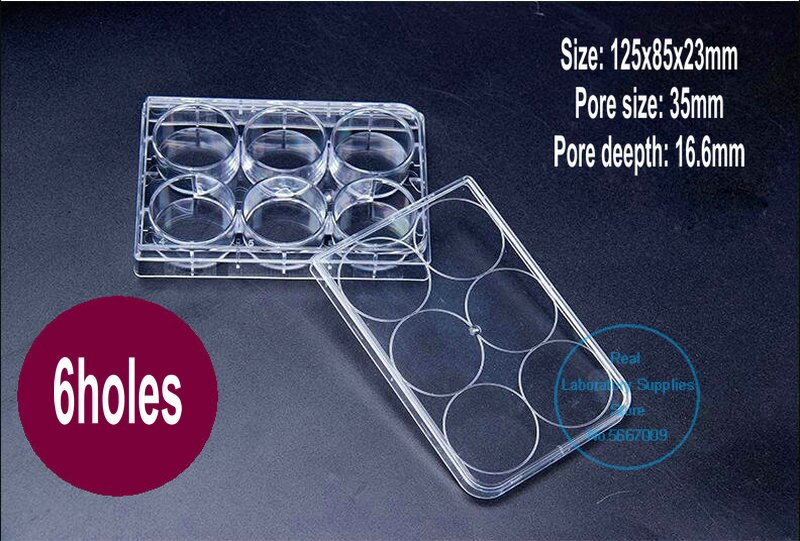 10pcs/lot Lab 6/12/24/48/96/384holes PS Sterilizat... – Grandado