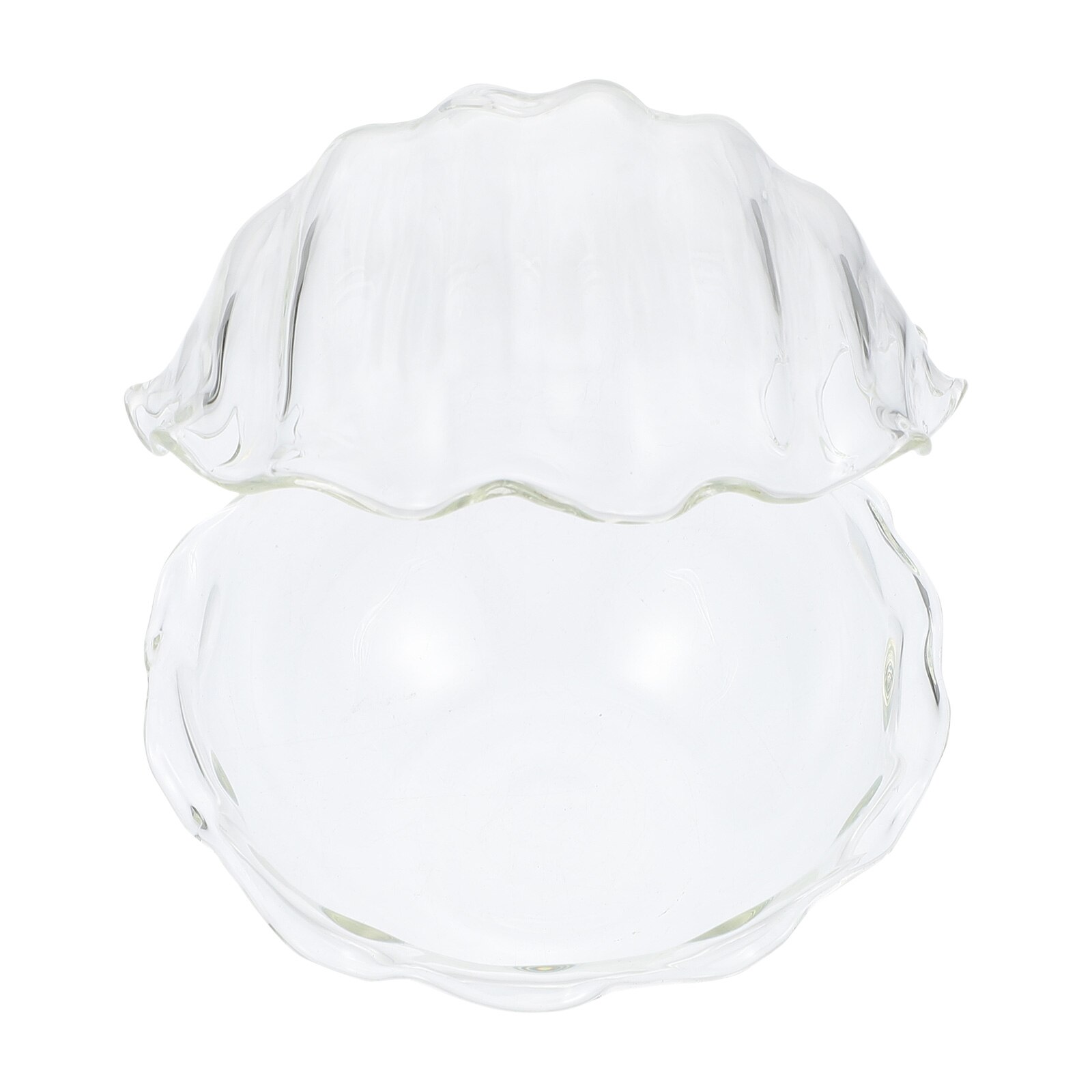 1pc Shell Shaped Glass Bowl Fruit Salad Bowl Sashi... – Vicedeal