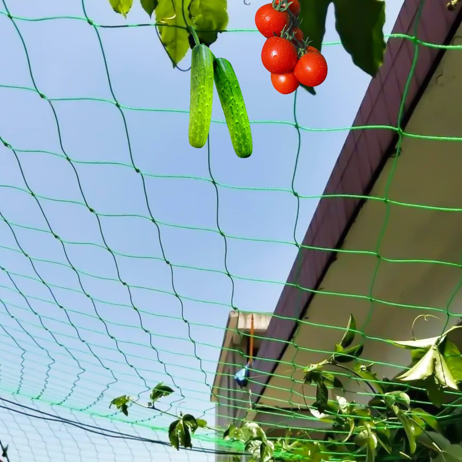 36 Strands 10cm Cell Plant Climbing Net -Heavy Dut... – Grandado