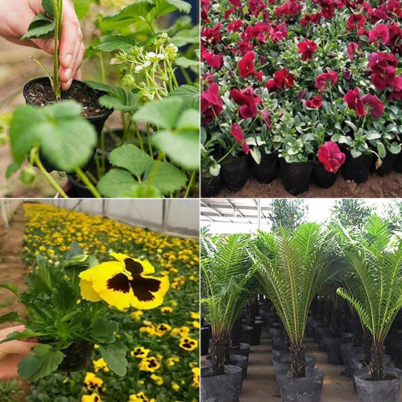100pcs PE Plastic Planting Bag Black Nursery Pots ... – Grandado