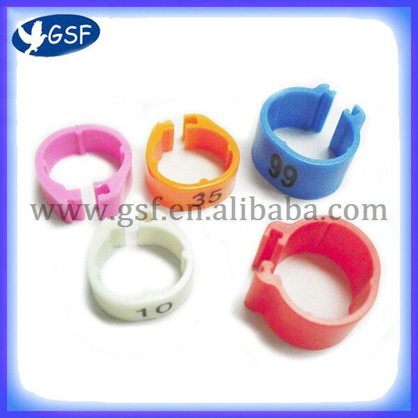 Cheap plastic racing pigeon rings for 8MM/9MM/10MM... – Grandado
