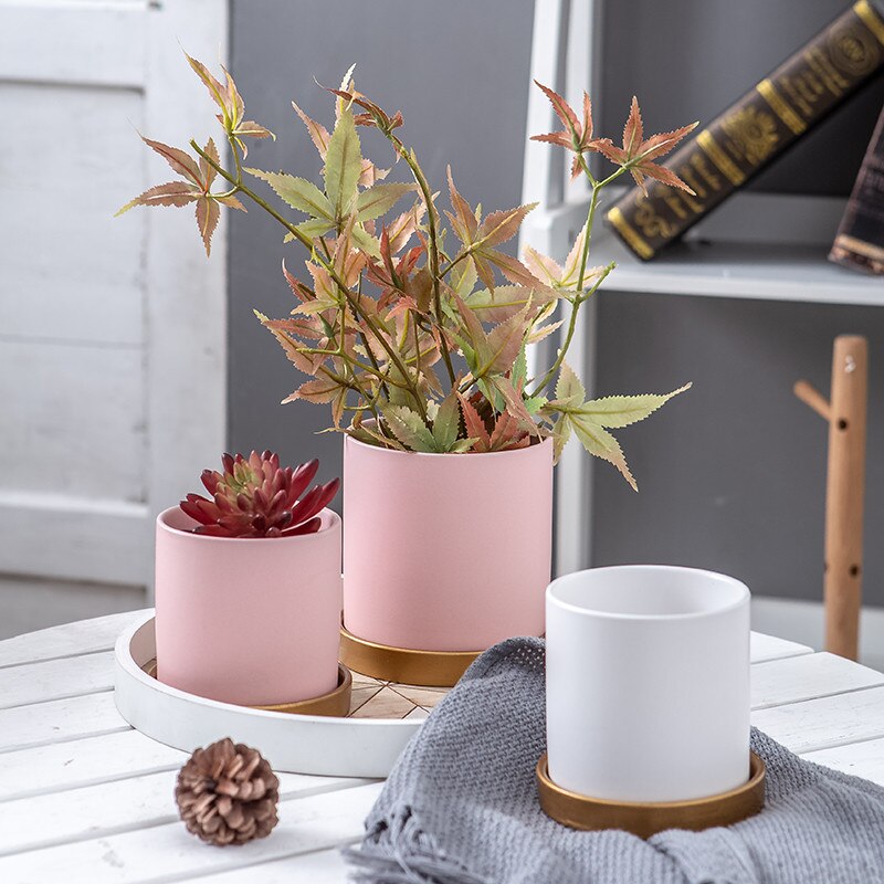Keramisk blomsterpotte matt nordiske sukkulenter p... – Grandado