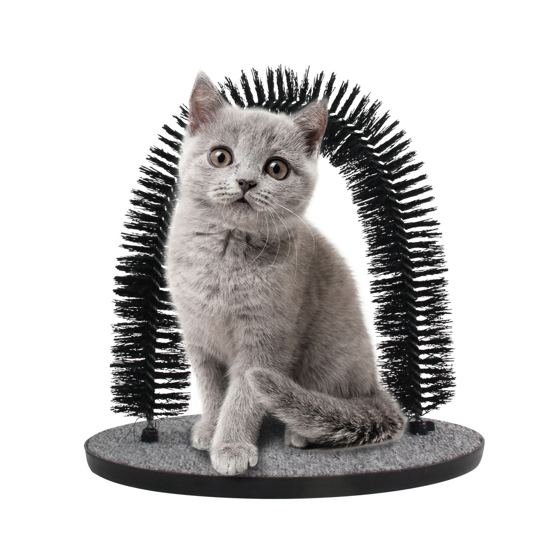 Cat Arch Self Groomer and Massaging Brush Cat Scra... – Grandado