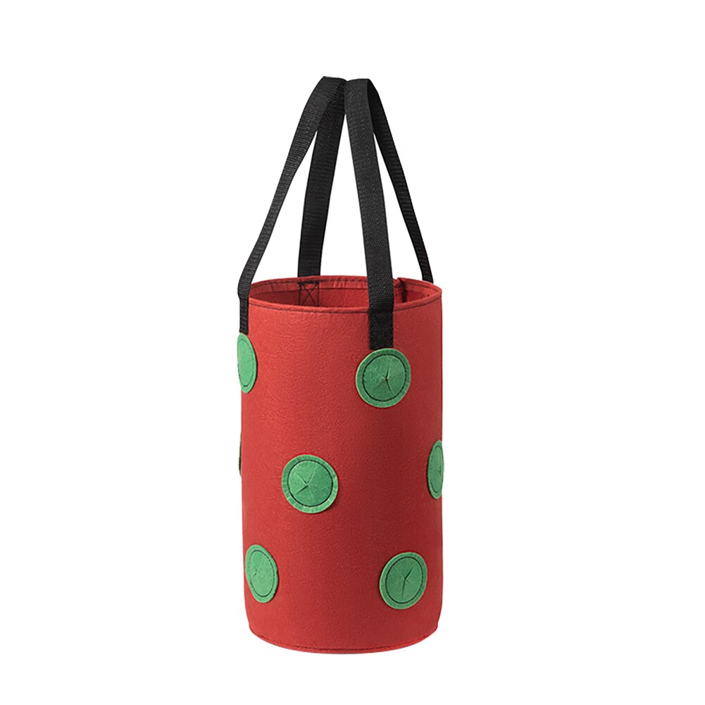 Multi-mouth Strawberry Bag Hanging Strawberry Plan... – Grandado