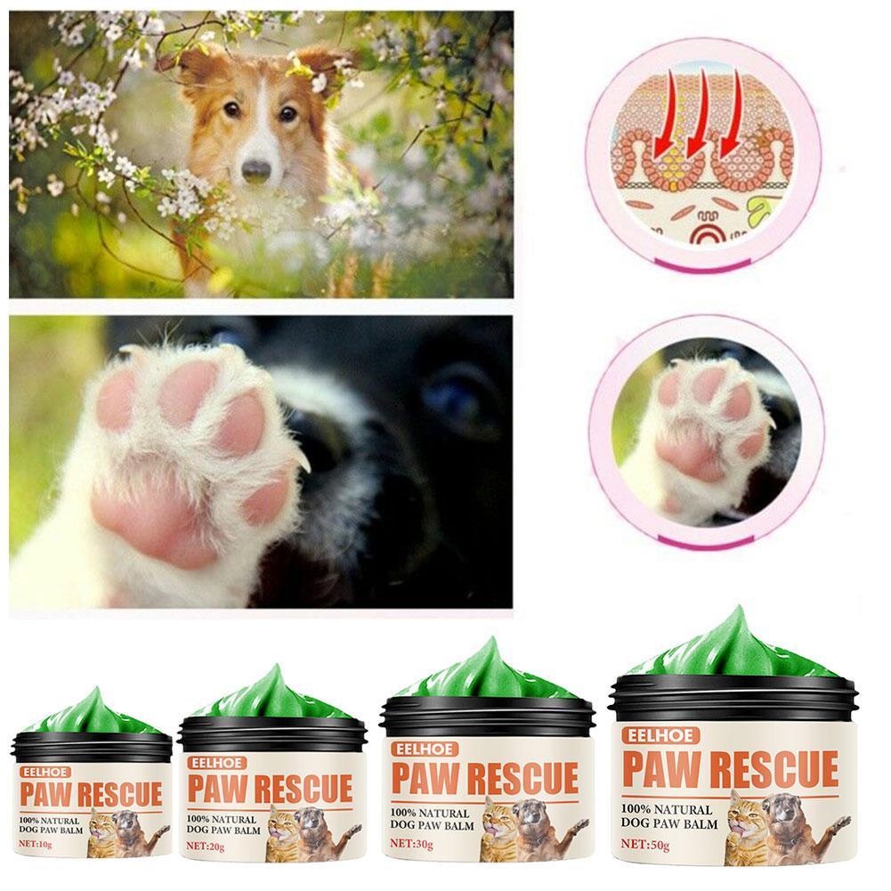 Protect your dogs small paws P5L7 – Vicedeal