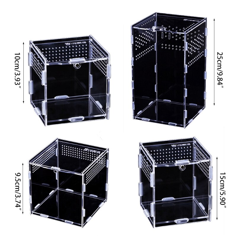 Insect Voerbox Transparante Container Acryl Terrar... – Vicedeal