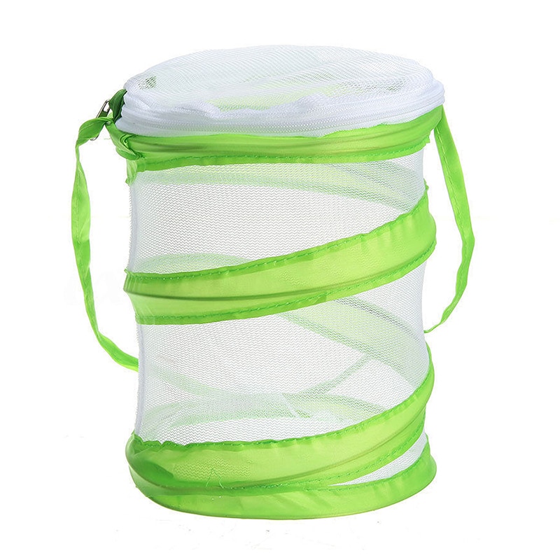 Small Praying Mantis Stick Insect Butterfly Pop-up... – Grandado