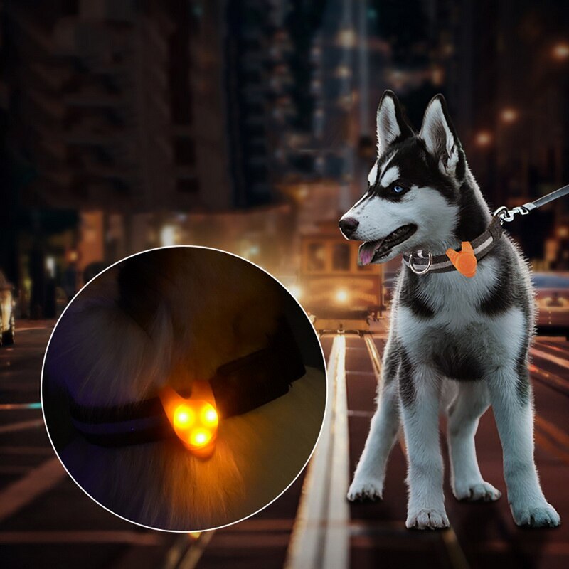 Night Safety LED Flashlight Pet pendant Pandent Gl... – Vicedeal