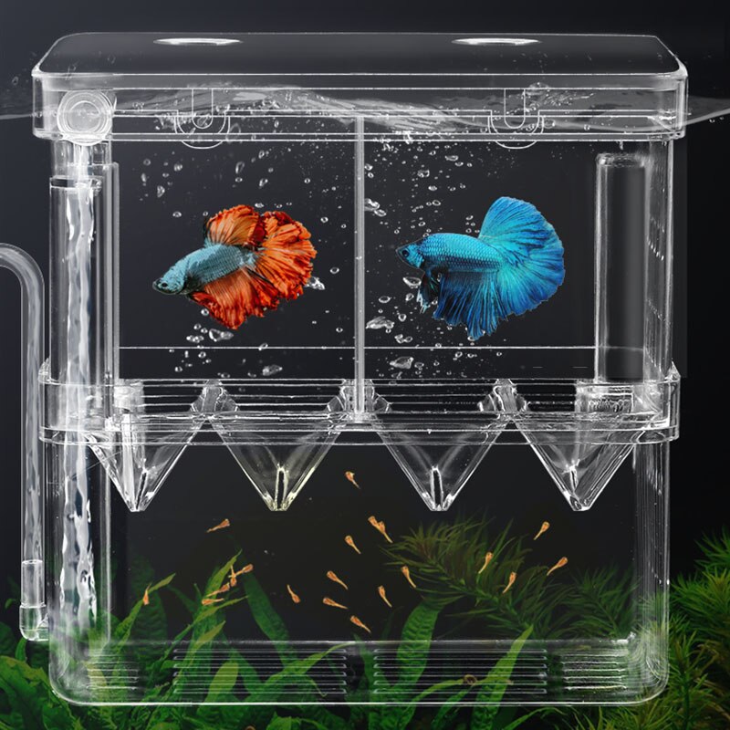 1 PCS Acrylic Fish Tank Breeding Isolation Box Aqu... – Grandado