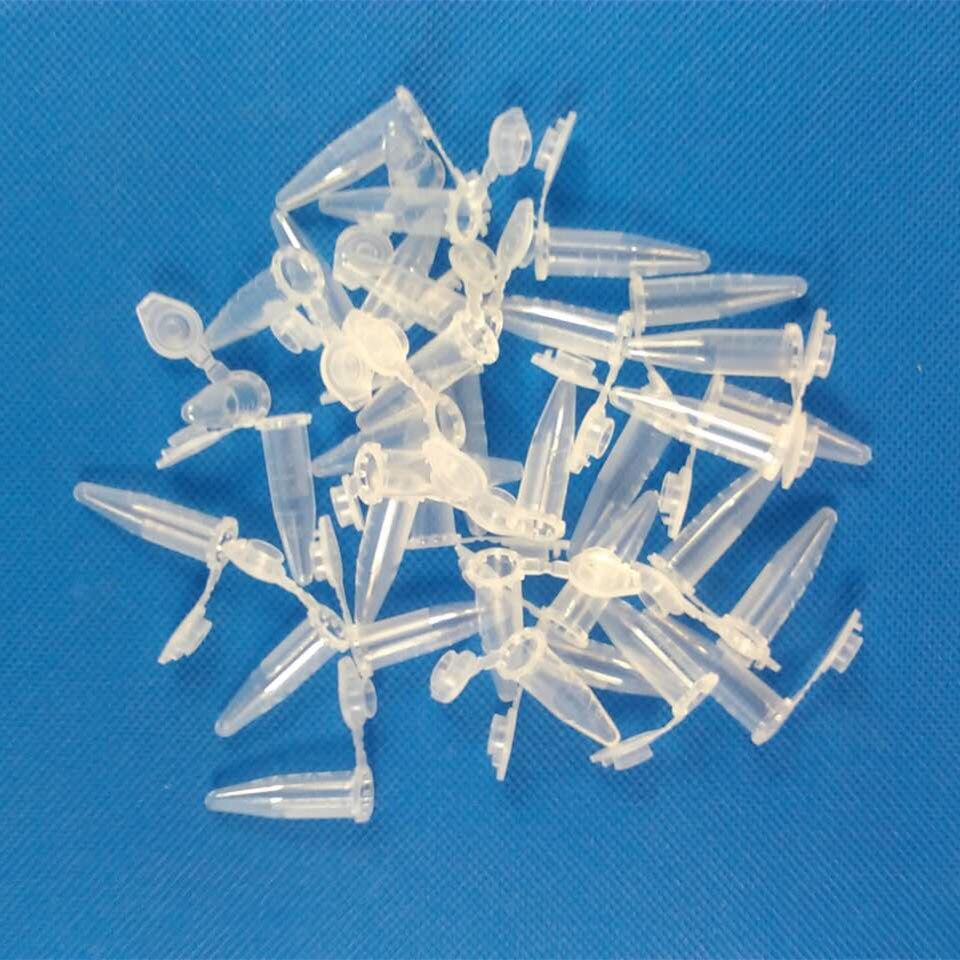 1000pcs/lot 0.5ml Micro centrifuge tubes Plastic T... – Grandado