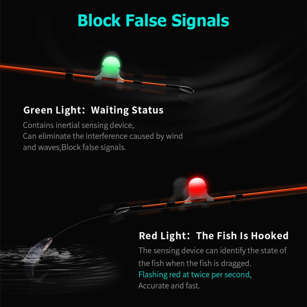 Portable 2 in 1 LED Night Fishing LED Light Electr... – Grandado