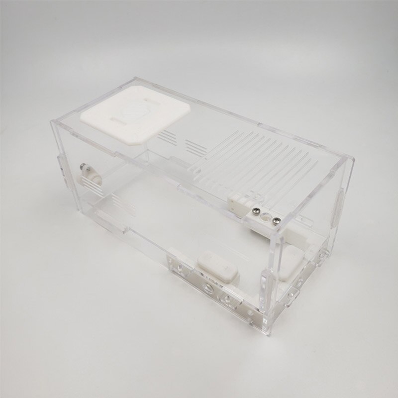 Ant Nest Acrylic 3D Printing Ant Farm Splicing Exp... – Grandado