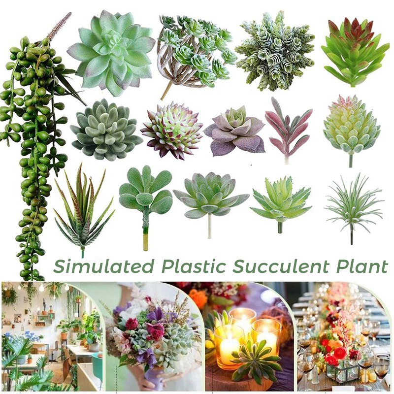 16 PCS Simulation Plastic Succulent Plant Flocking... – Grandado