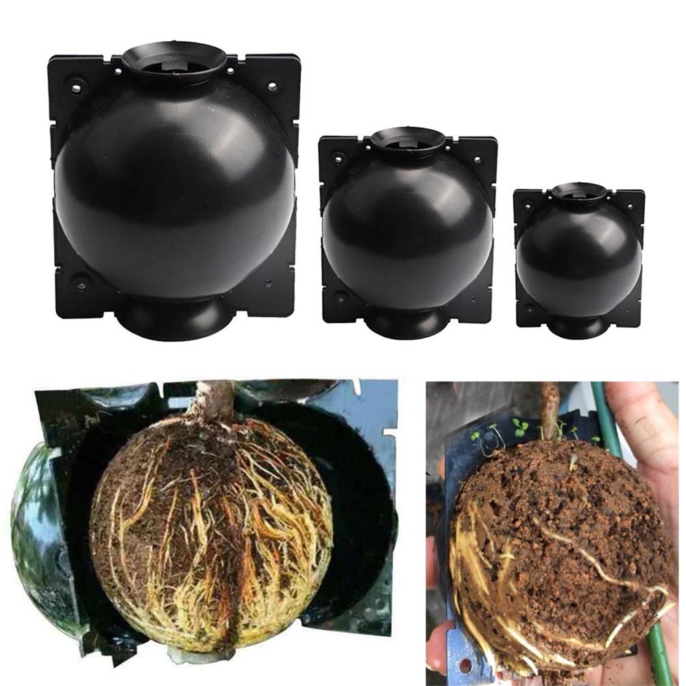 3pcs Plant Rooting Equipment Propagation Ball High... – Vicedeal