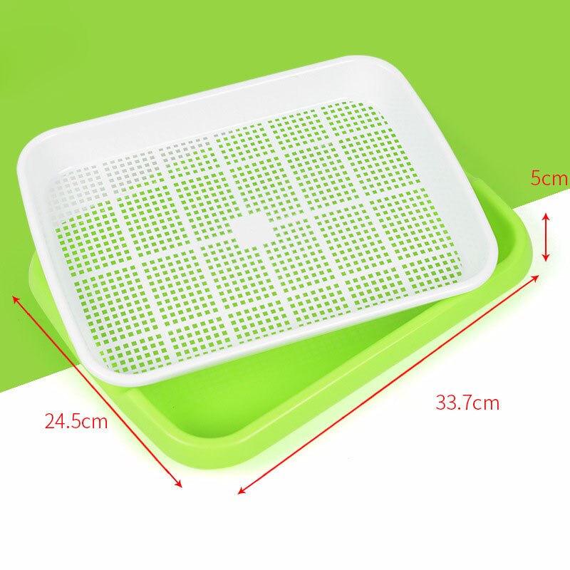 Planting Sprout Seedling Tray Seed Sprouter Tray D... – Grandado