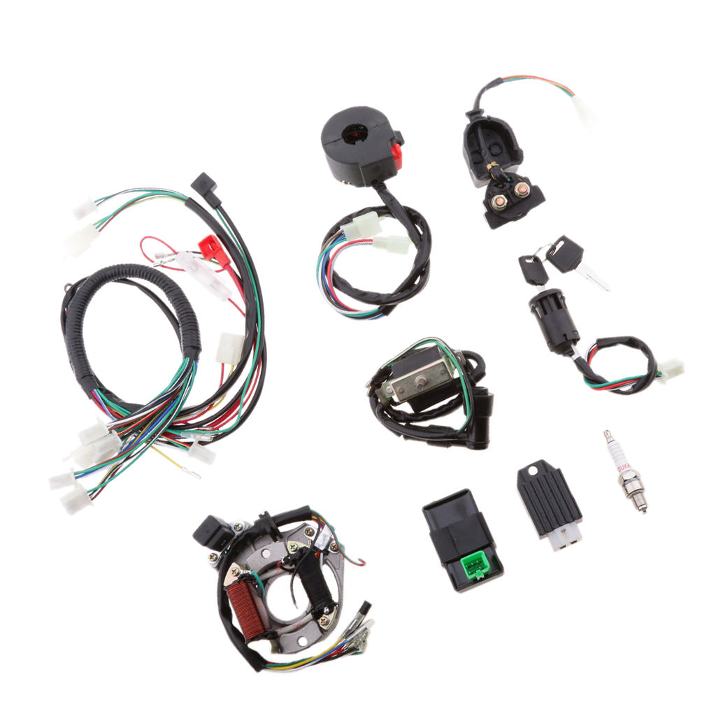 Electric Start Engine CDI Wire Harness Assembly Wi... – Grandado