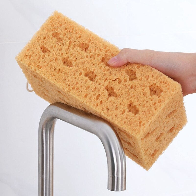 Porous Coral Car Washing Sponge Auto Body Cleaning... – Vicedeal