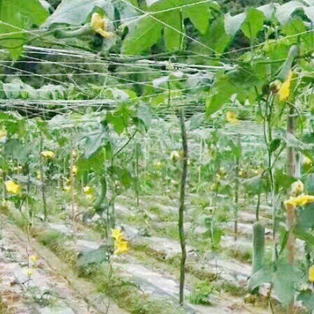 Plant Support Net 2M X 100M Fruit Support Trellis ... – Grandado
