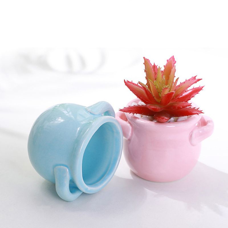 Colorful Mini Ceramic Plant Pot Flower Pot Planter... – Vicedeal