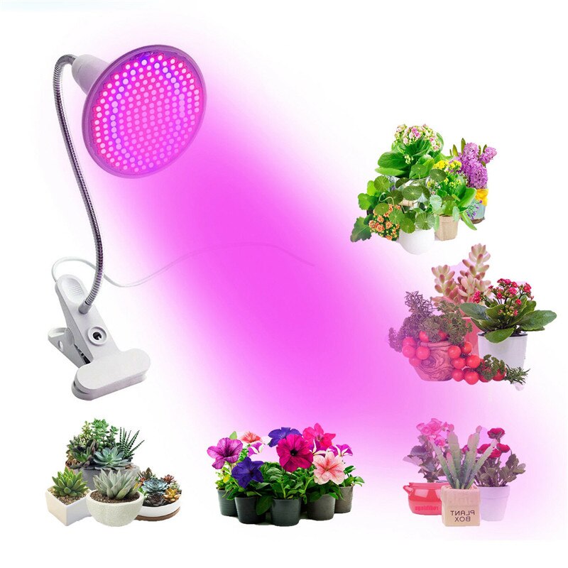 200LED Grow Light Hydroponic Garden Plant Desk 360... – Grandado