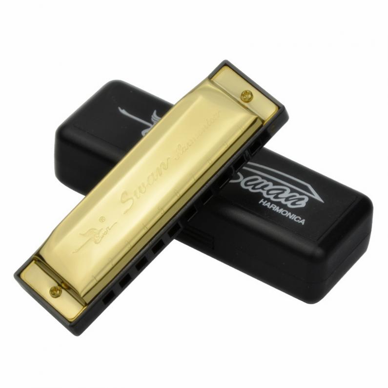 10 Holes 20 Tone Harmonica KeyC for Blues Harmonic... – Vicedeal