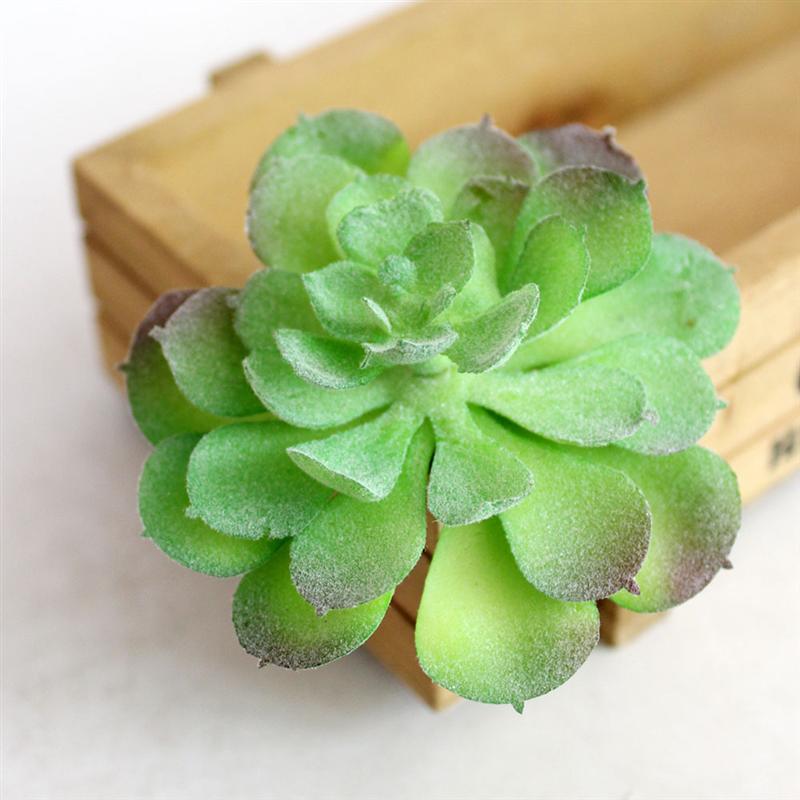 5PCS Decorative Mini Assorted Green Plant Faux Art... – Vicedeal