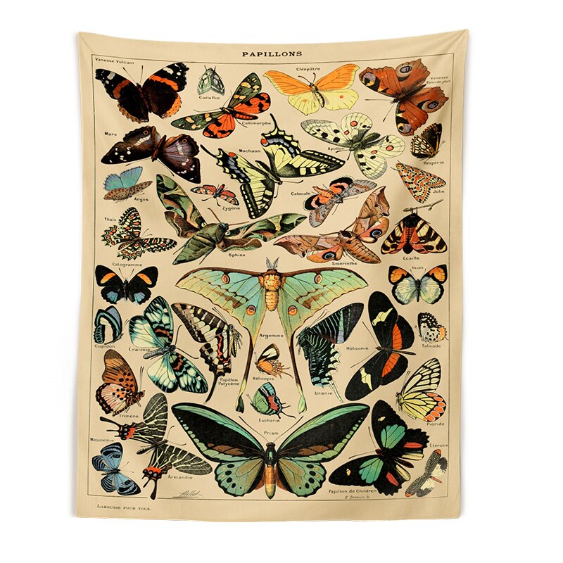 Butterfly Illustration Chart Tapestry Vintage Tape... – Vicedeal