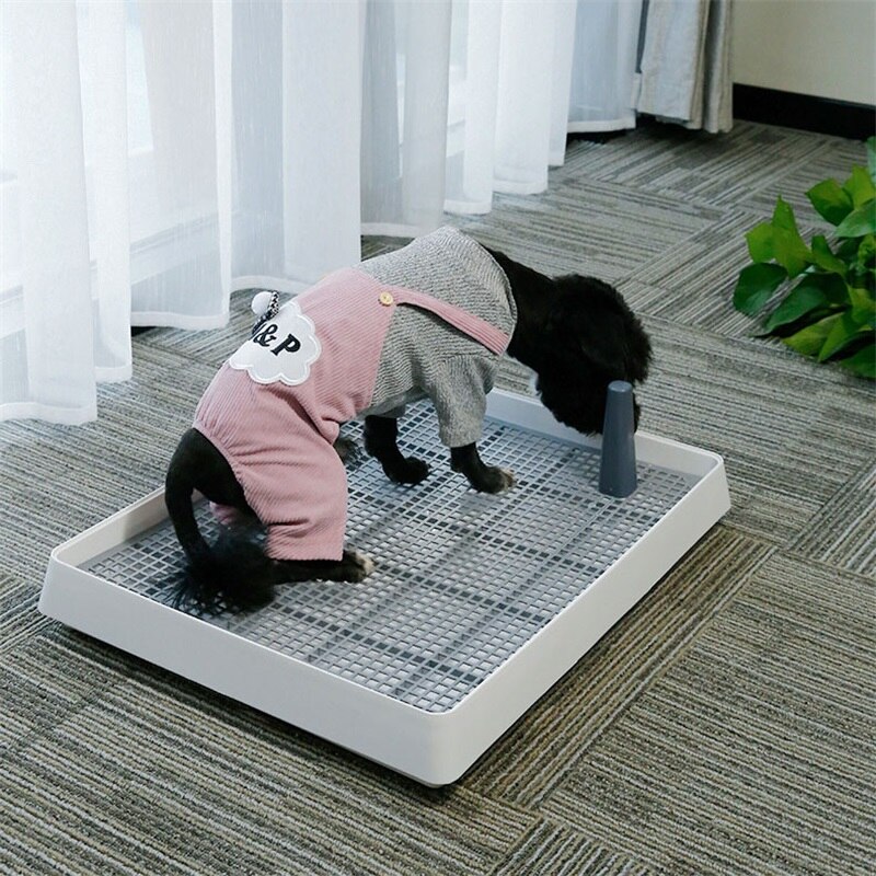 Indoor Dog Potty Training Toilet System For Small ... – Grandado