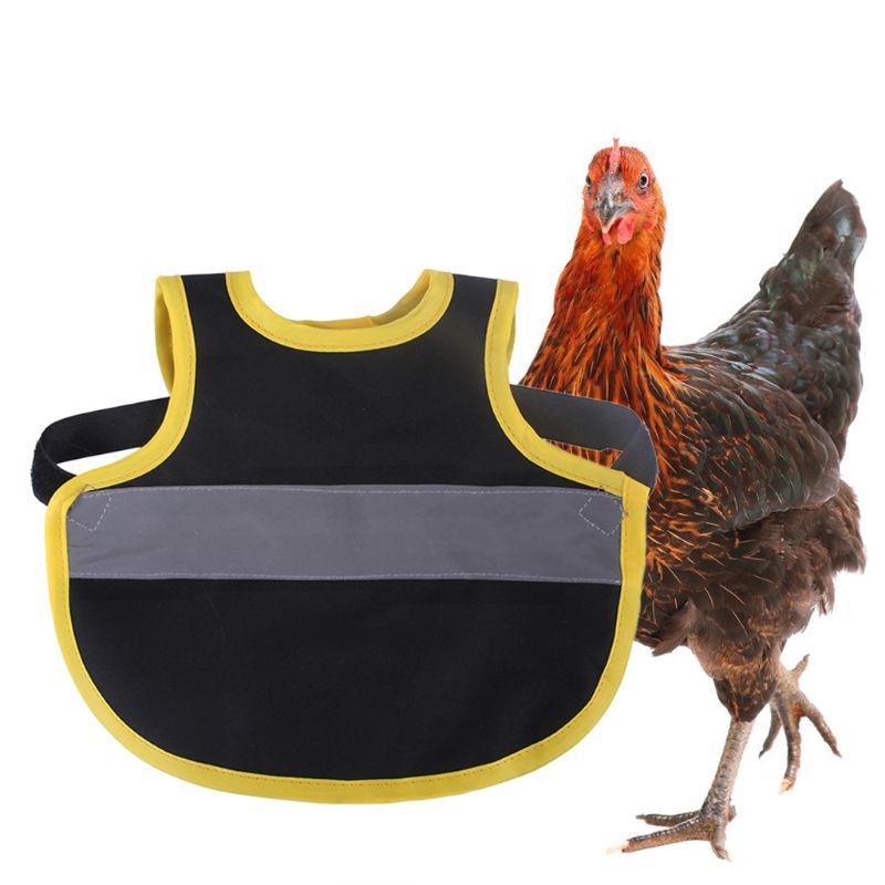 Hen Apron Chicken Duck Vest Pet Poultry Clothes He... – Grandado