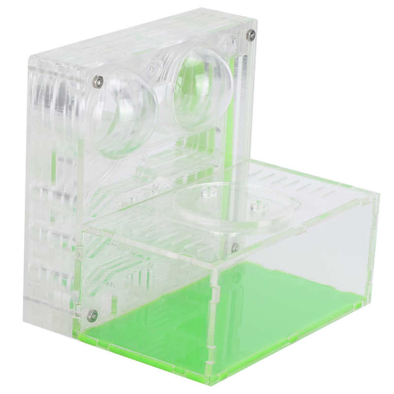 Reptiles Living Box Insect Cage Transparent Acryli... – Grandado