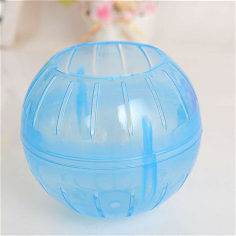 Pet Rodent Mice Jogging Hamster Gerbil Playing Exe... – Grandado