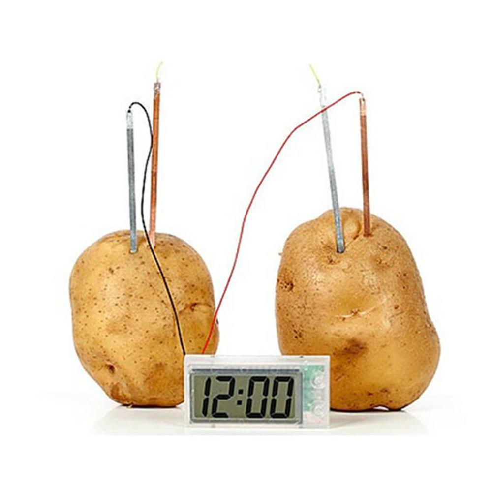 Kids DIY Potato Clock Electrochemical Science Expe... – Grandado