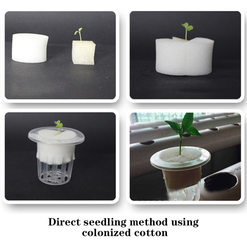 100Pcs Soilless Hydroponic Vegetables Nursery Pots... – Grandado