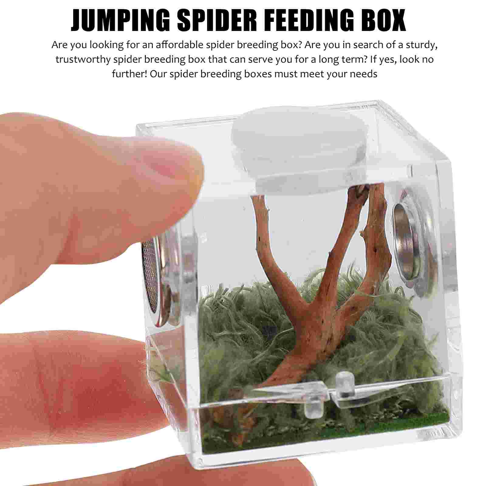 1 Set of Spider Habitat Box Jumping Spider Enclosu... – Grandado