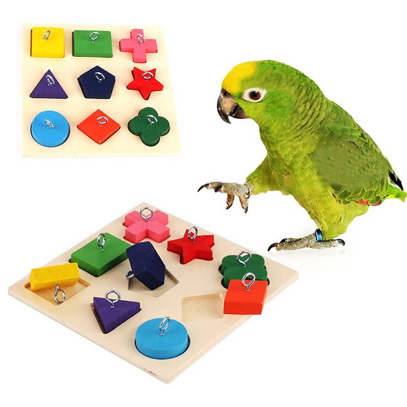 Pet Educational Toys Birds Parrot Interactive Trai... – Grandado