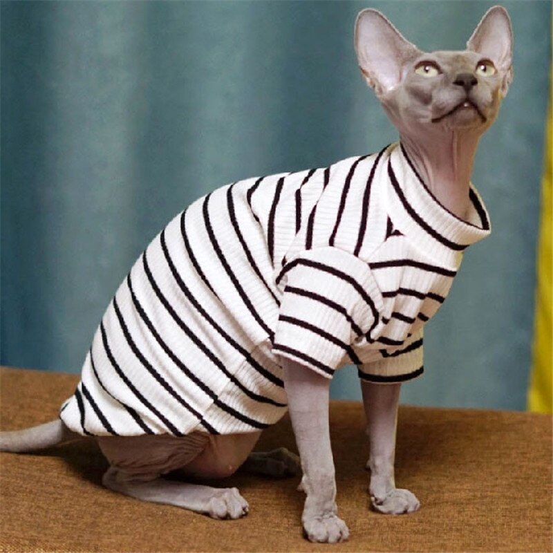 Cat Clothes Sphynx cat Spring Summer Wearing kitte... – Grandado