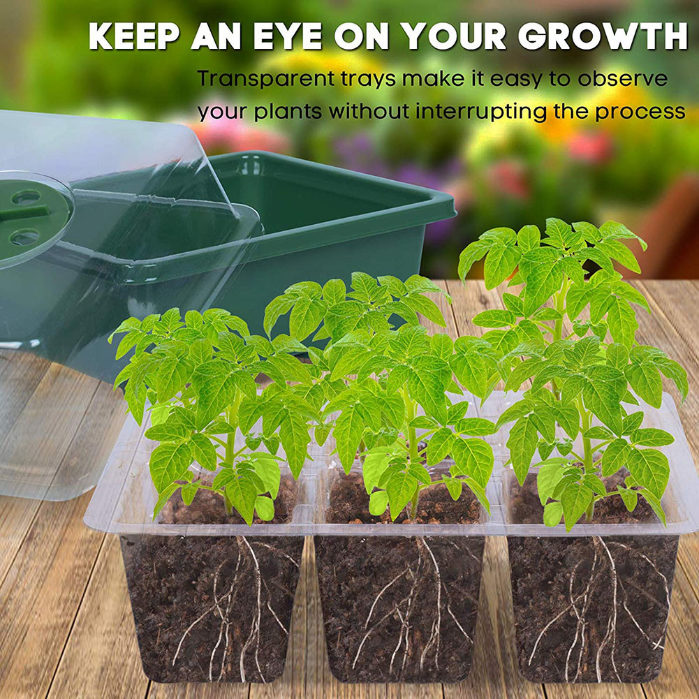 6 Cells Hole Plant Tray Insert Propagation Seeds G... – Grandado