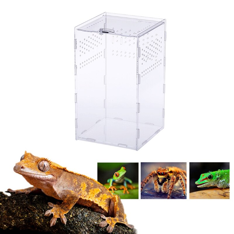 Insect Feeding Box Transparent Acrylic Terrarium C... – Grandado
