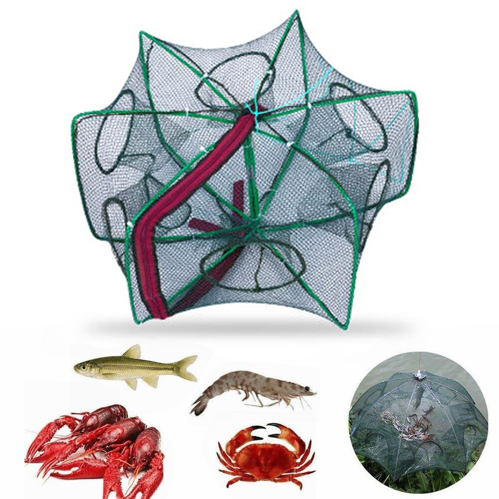 Crayfish Fish Automatic Trap Shrimp Carp Catcher C... – Grandado