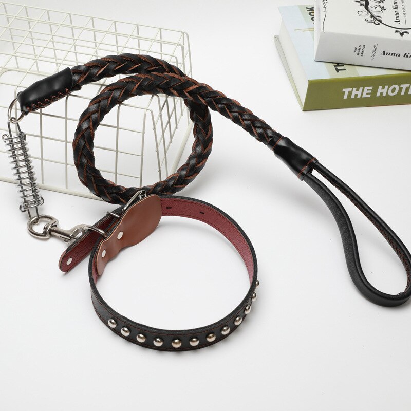 Pet dog collar leather traction rope large dog Gol... – Grandado