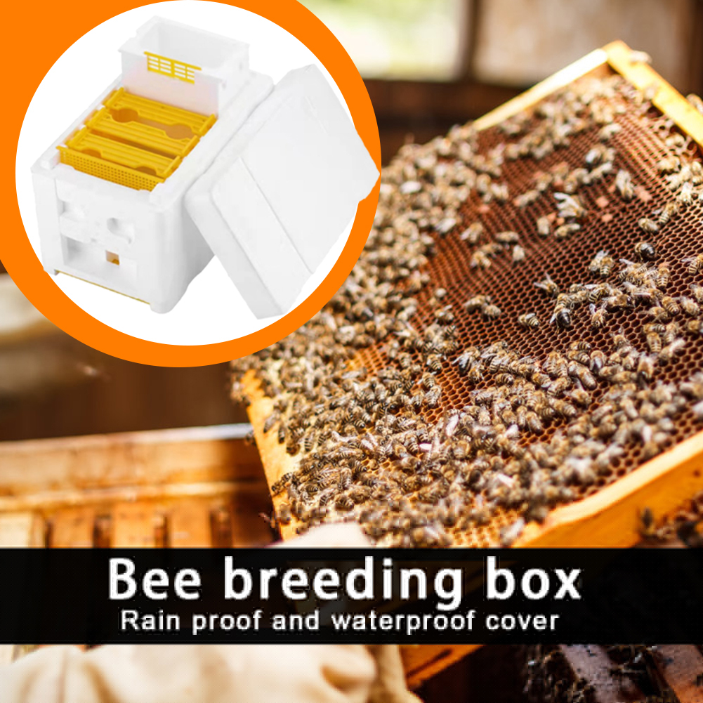 Beehive Beekeeping King Box Foam Home Bee Hive Pol... – Grandado